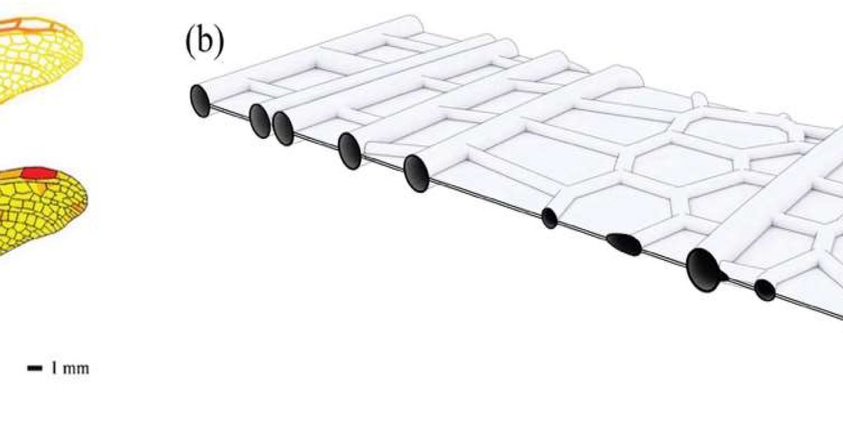 🌀archived– 📍 technical drawing aesthetics | Are.na