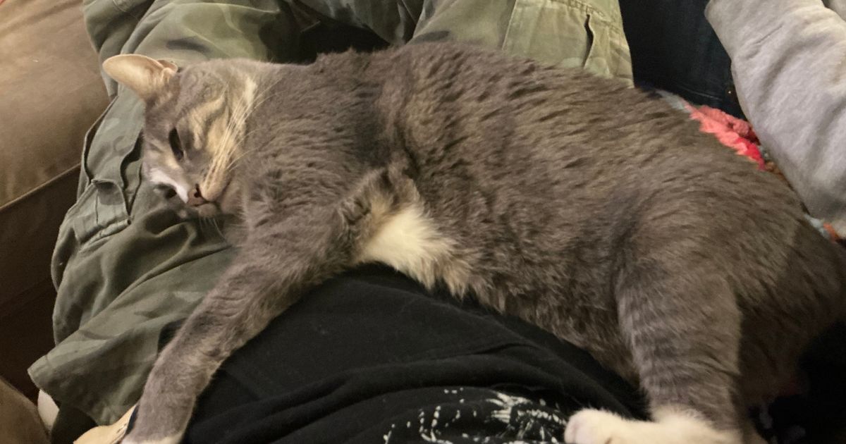 cat database | Are.na