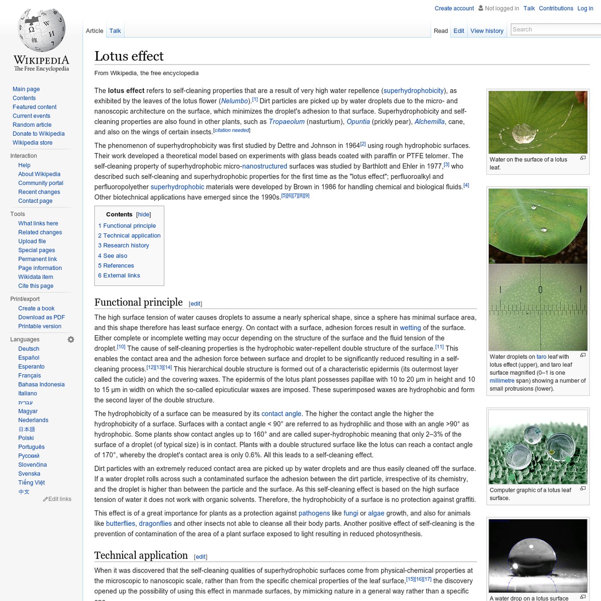 Lotus effect — Are.na