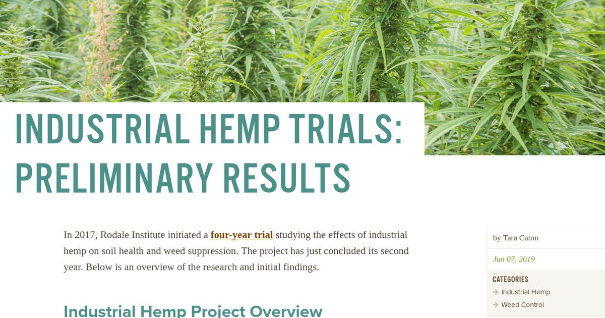 Industrial Hemp Trials: Preliminary Results - Rodale Institute | Are.na