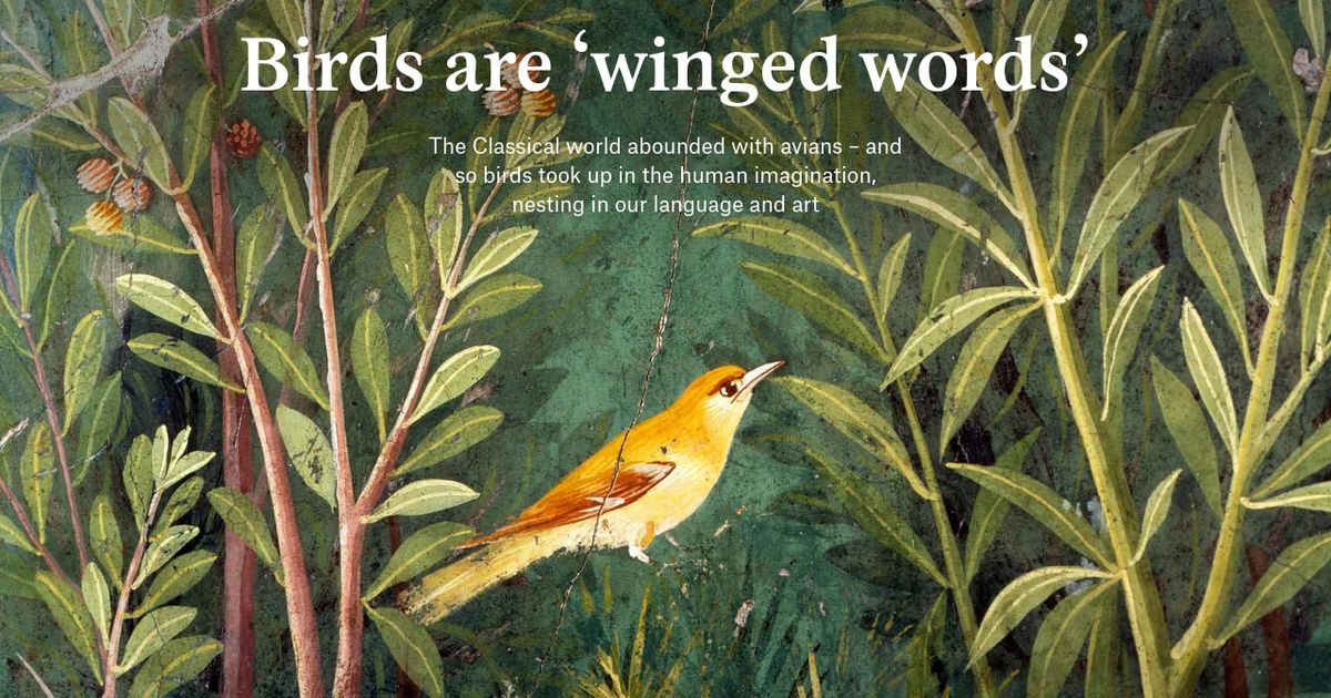 The ancient world teemed with birds; now we think with them - Jeremy ...