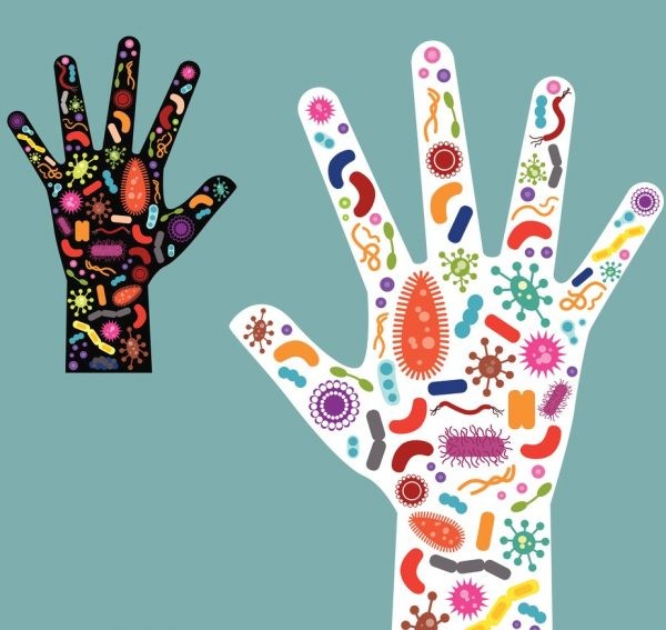 Microbiome: Visual Research — Are.na