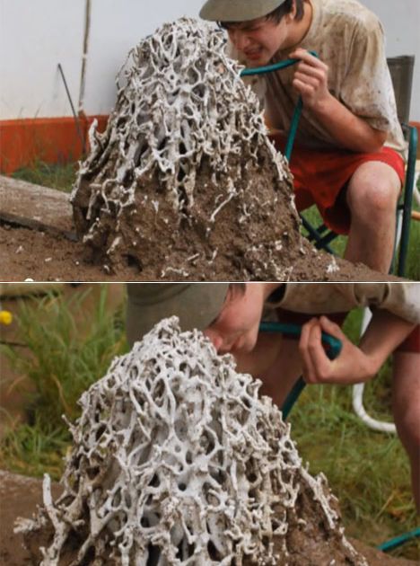 Human vs. Non-human-made Structures | Are.na