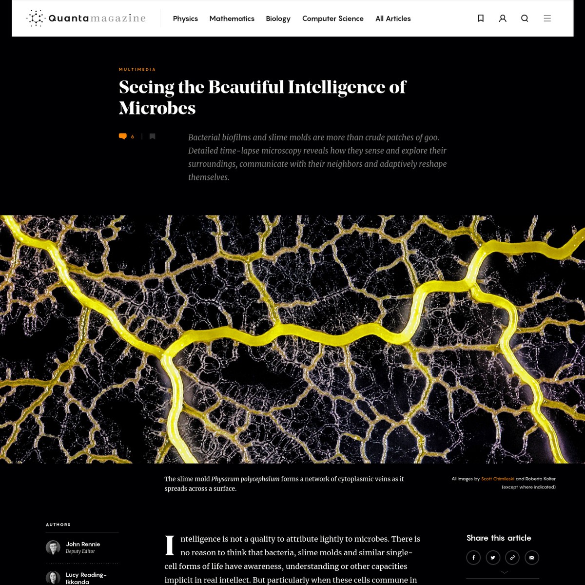 The Beautiful Intelligence of Bacteria and Other Microbes — Are.na