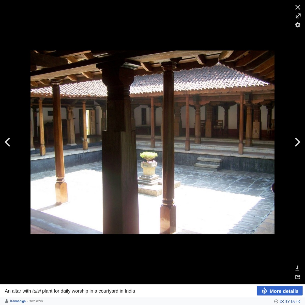 An altar with tulsi plant for daily worship in a courtyard in India ...