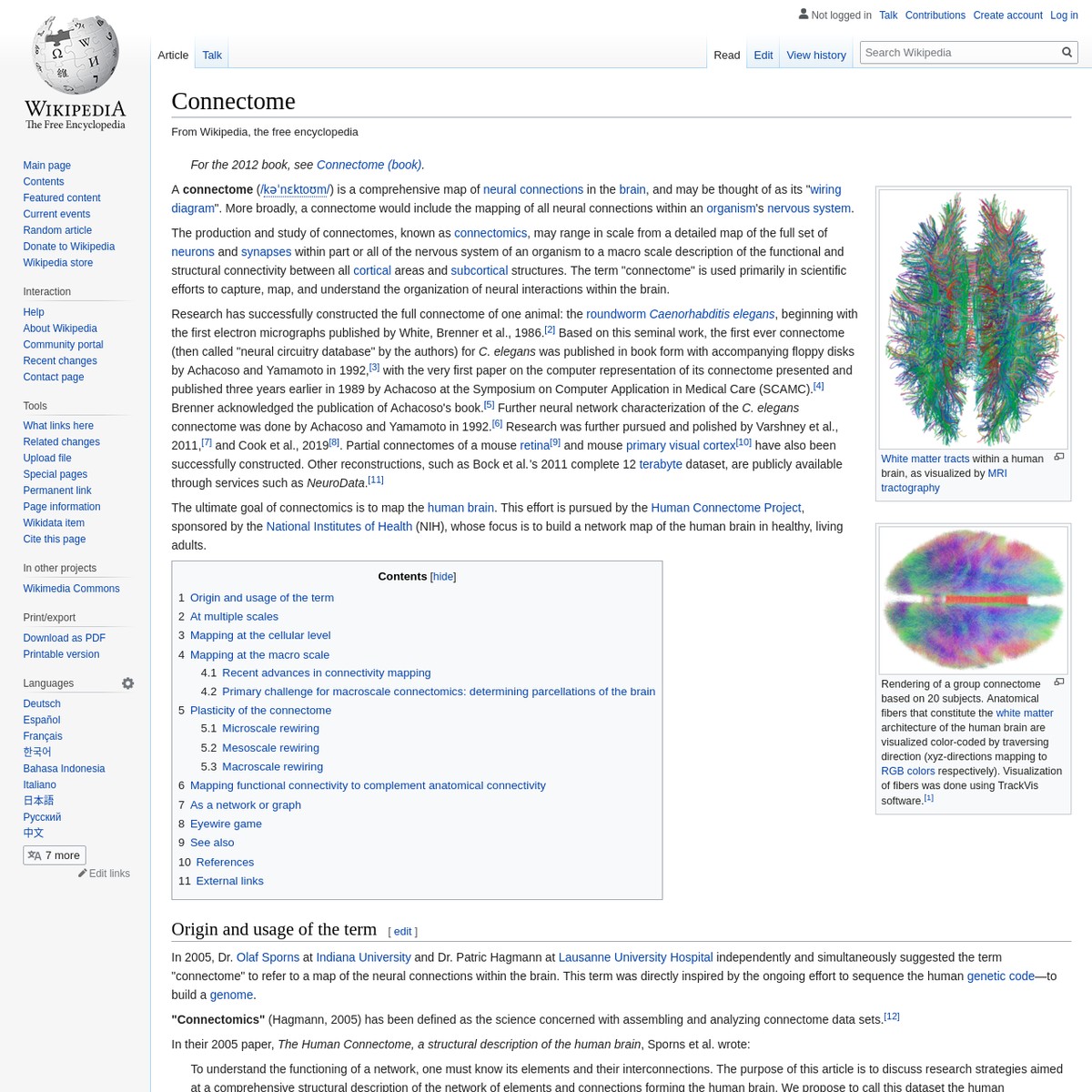 Connectome — Are.na
