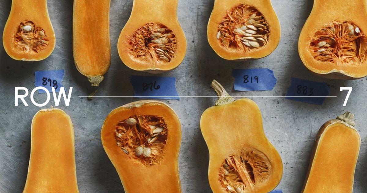 Row 7 Seed Company | Are.na