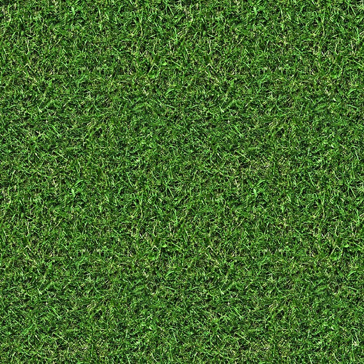 Grass textures free, Grass textures seamless — Are.na