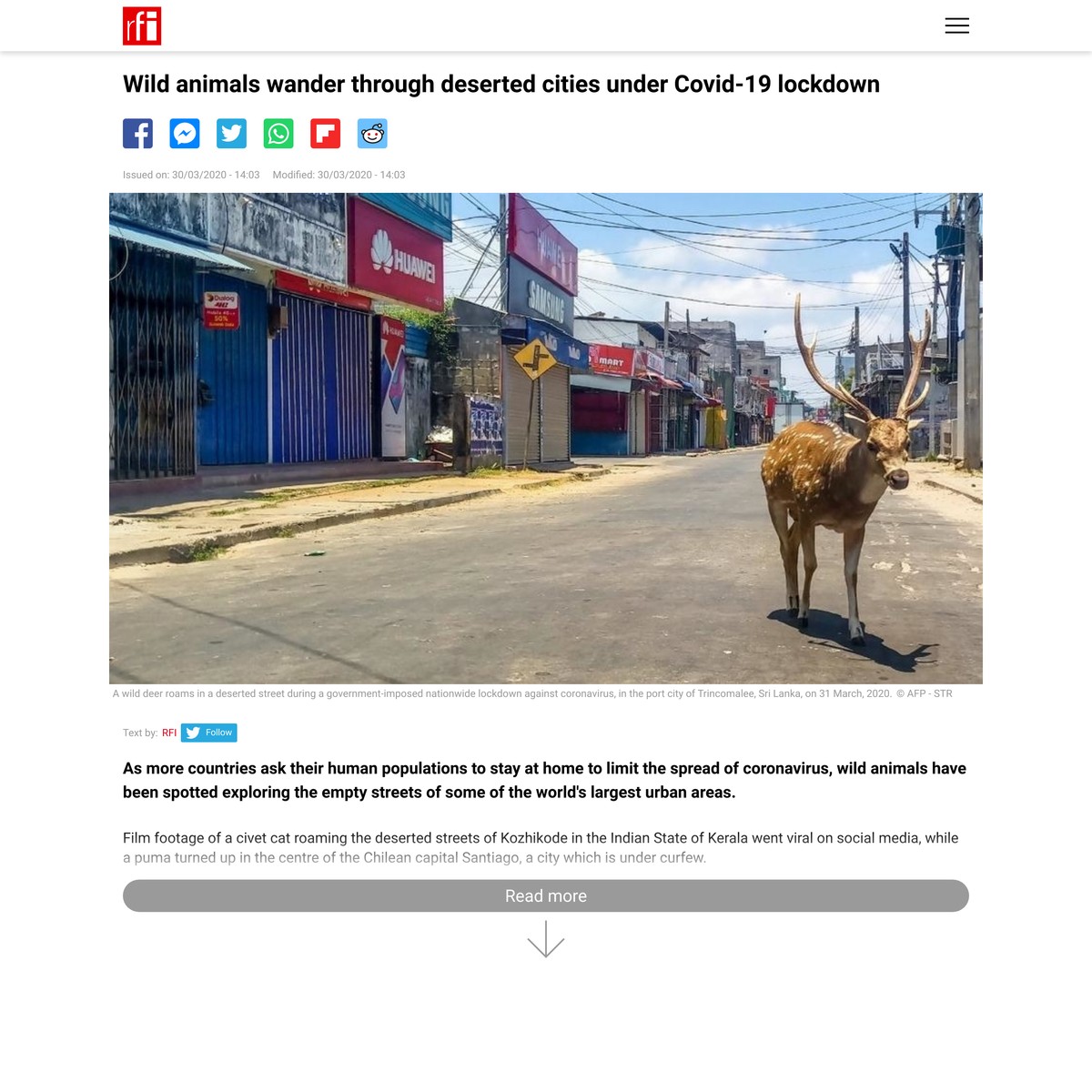 Wild animals wander through deserted cities under Covid-19 lockdown ...