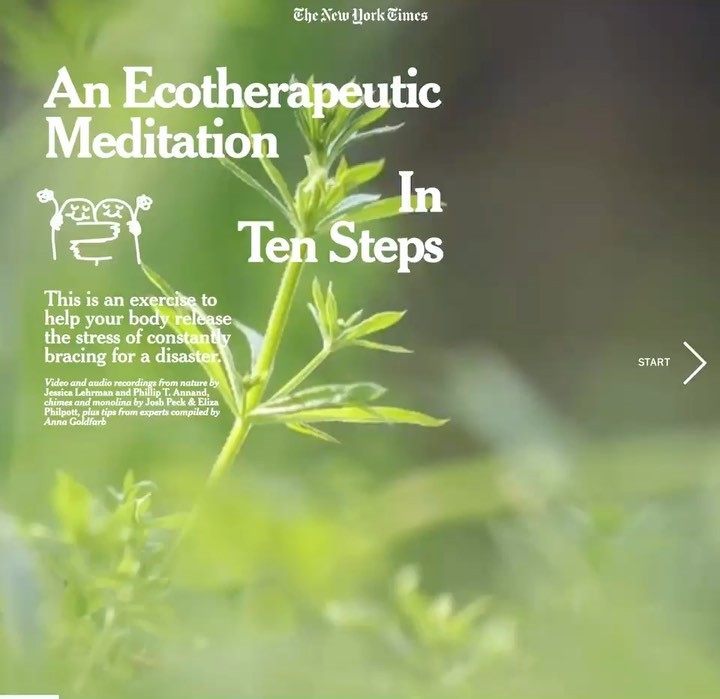 Good morning, we're excited to share some very quiet videos that ...