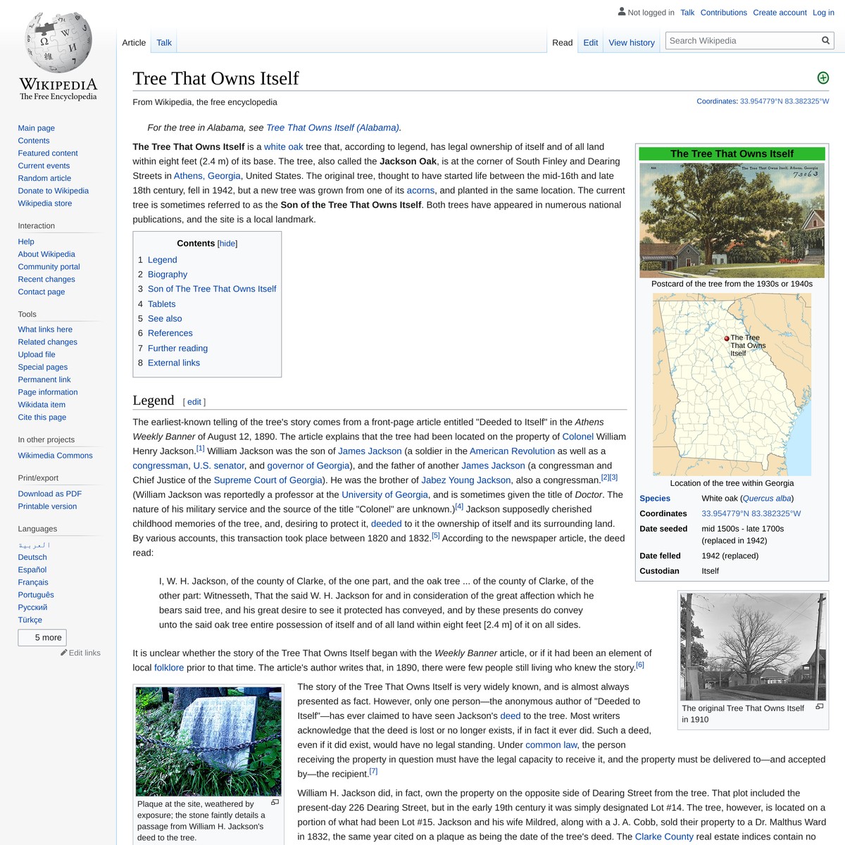 Tree That Owns Itself - Wikipedia — Are.na
