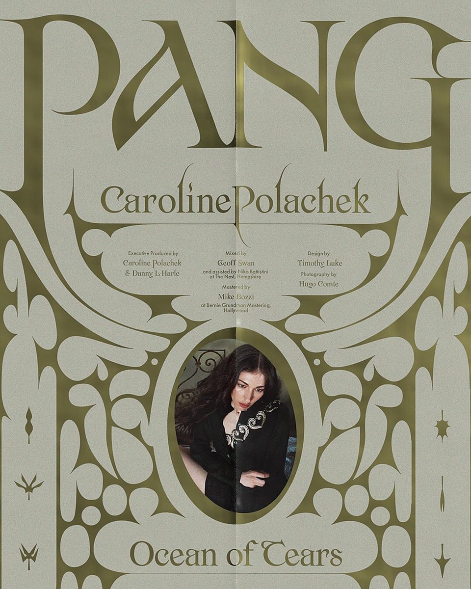 timothy-luke-caroline-polachek-pang-vinyl-graphic-design-71943225 ...