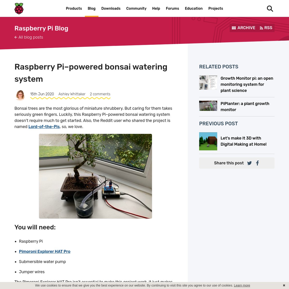 Raspberry Pi-powered bonsai watering system - Raspberry Pi — Are.na