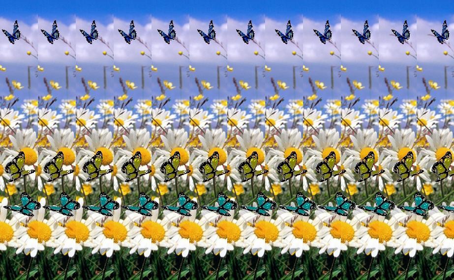 Autostereograms ("Magic Eye") — Are.na