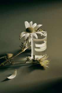 purely visual — Are.na