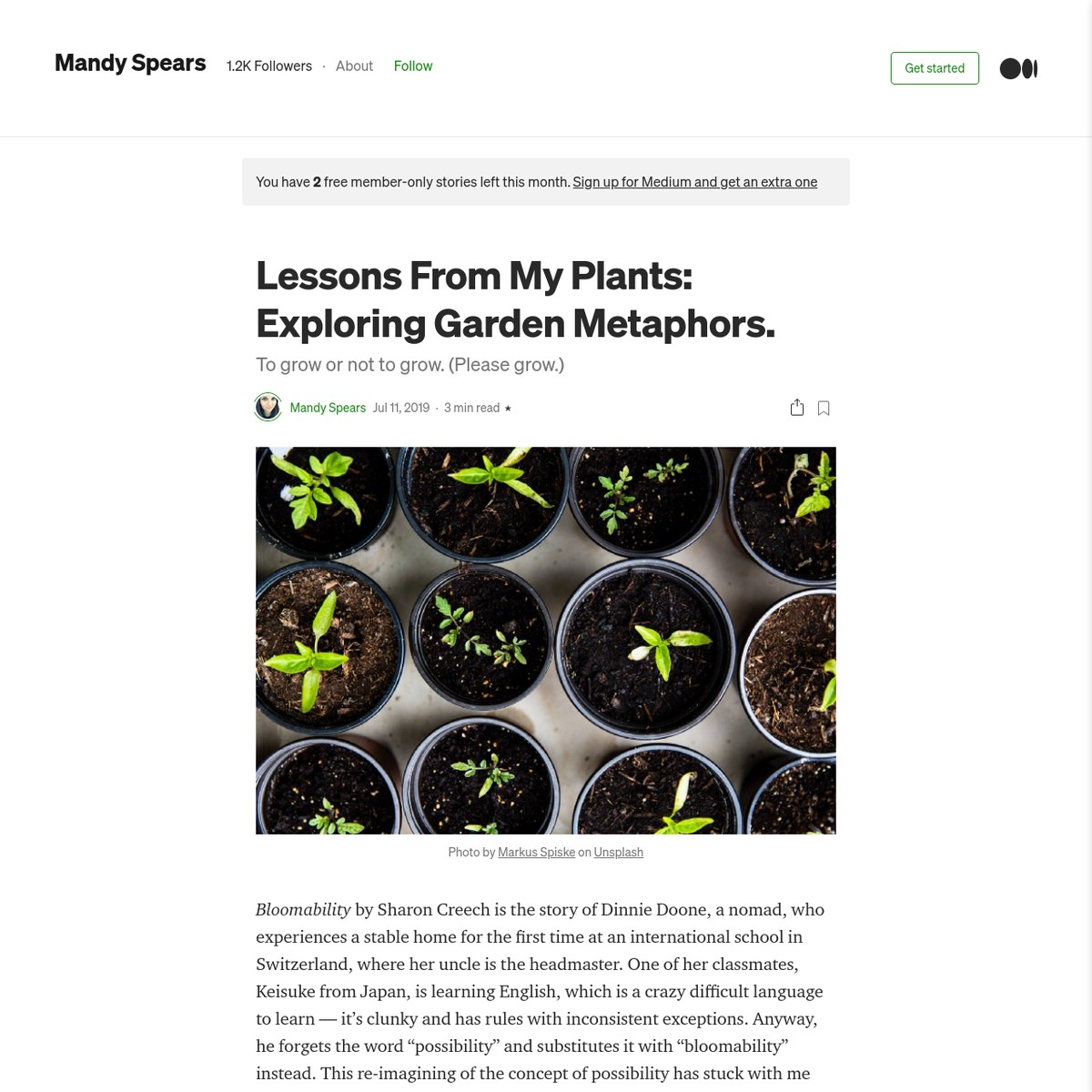Lessons From My Plants: Exploring Garden Metaphors. — Are.na