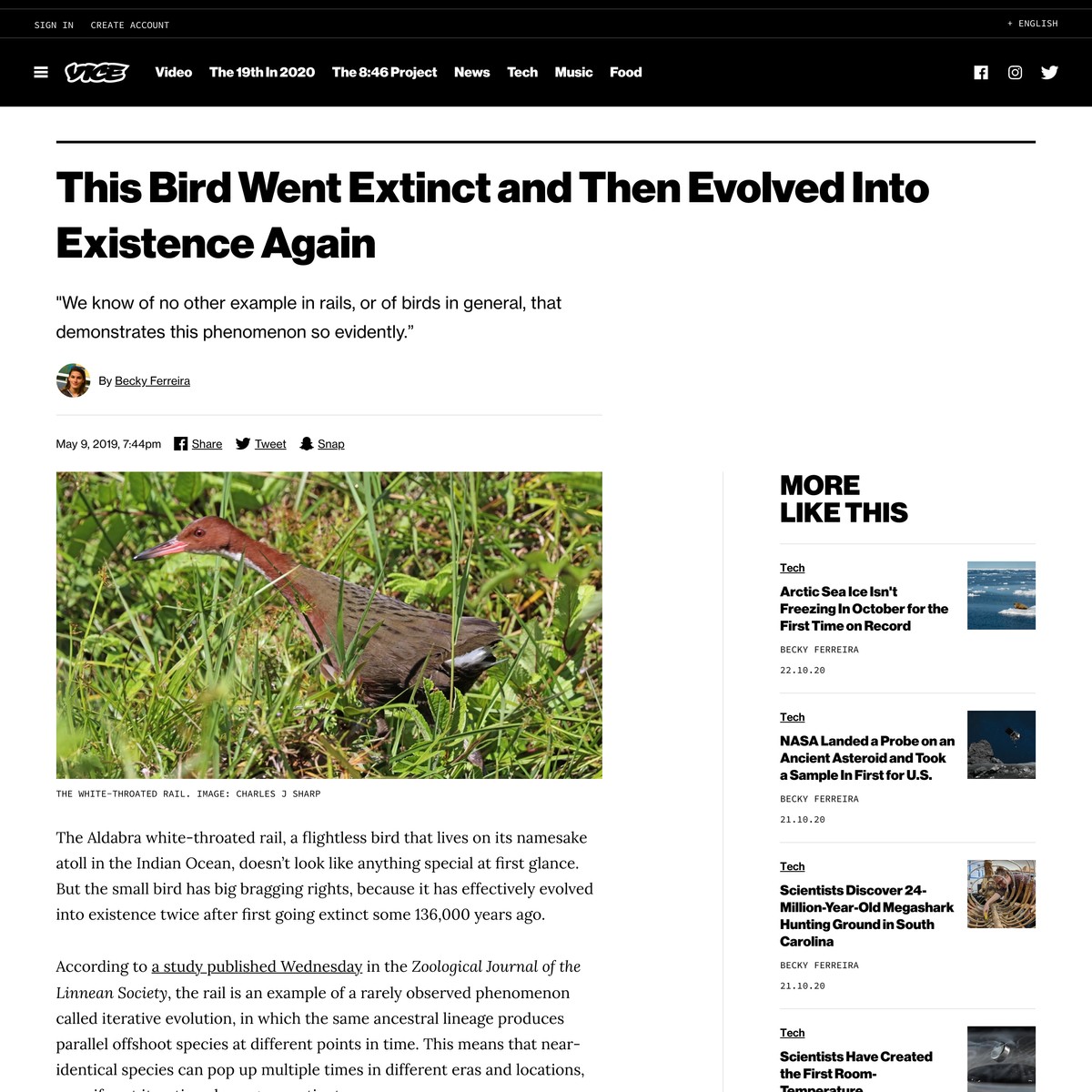 This Bird Went Extinct and Then Evolved Into Existence Again — Are.na