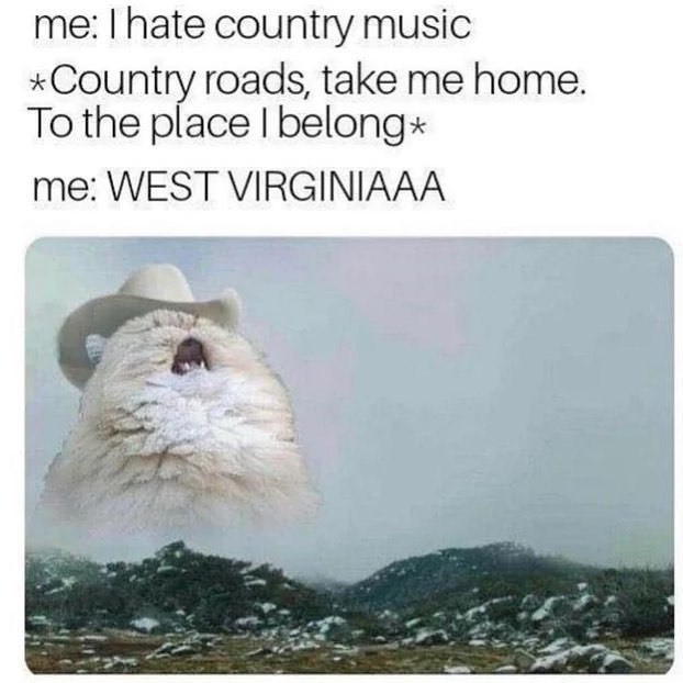 Country Memes
