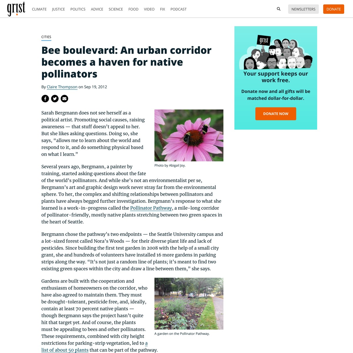 Bee boulevard: An urban corridor becomes a haven for native pollinators ...