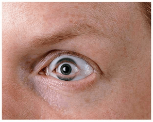 Pupula Duplex — Are.na