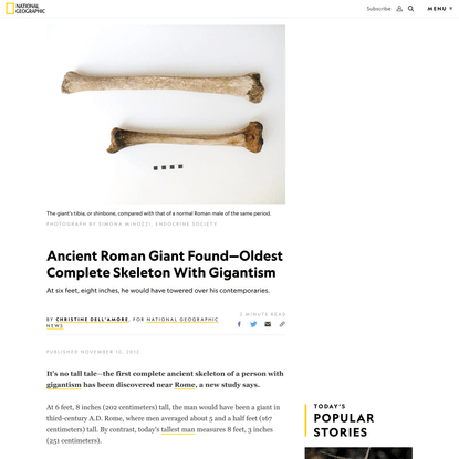 😷 Giant, Gigantism — Are.na