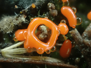 Color Schemes — Are.na