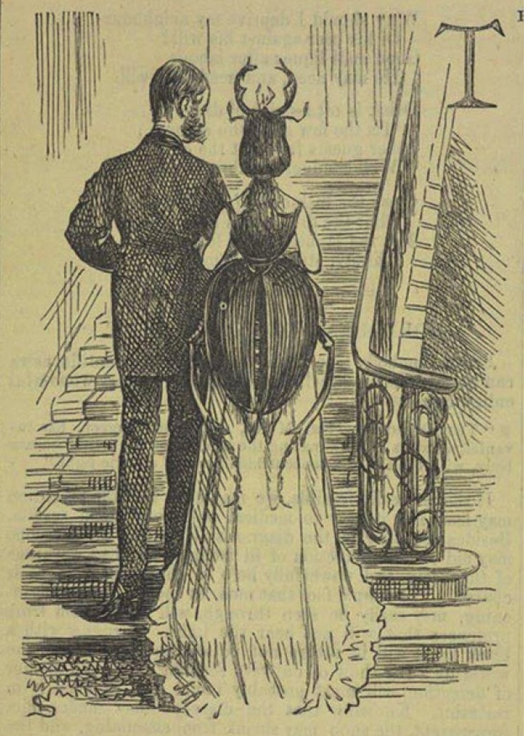 gothic bug stuff — Are.na