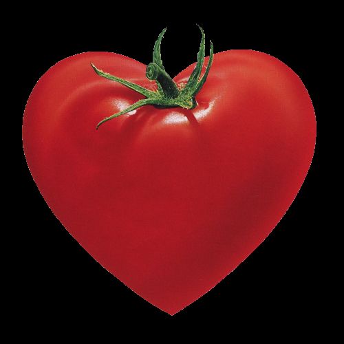 Transparent BGs | Are.na