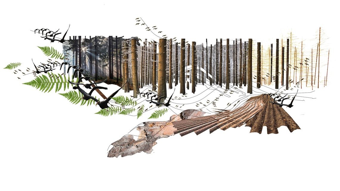 ENRIC MIRALLES — Are.na