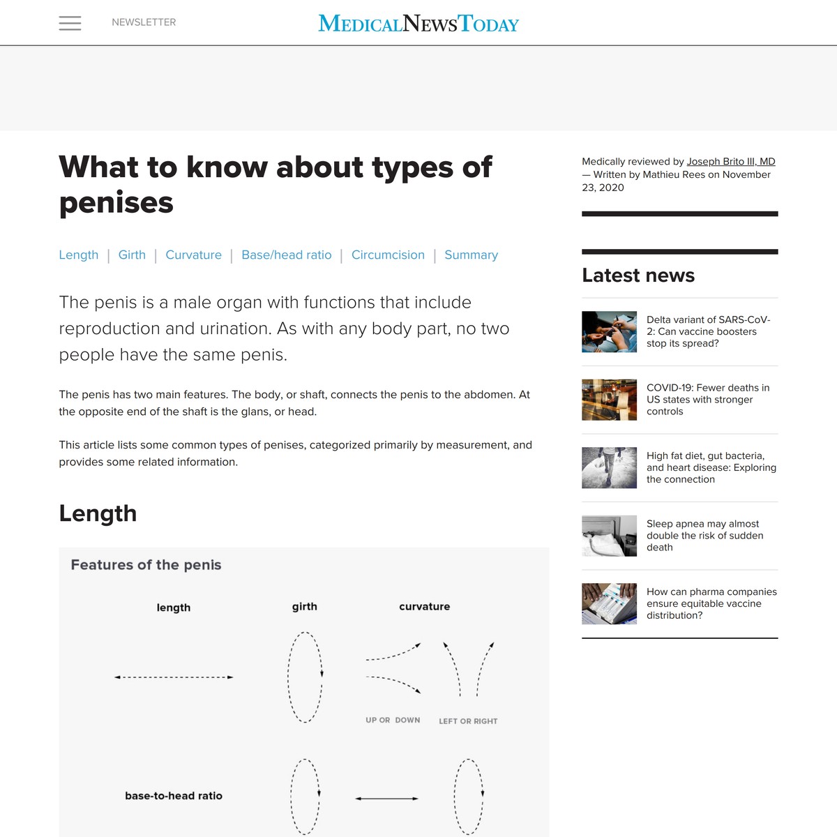 Types of penises: Shape, size, circumcision, and more — Are.na