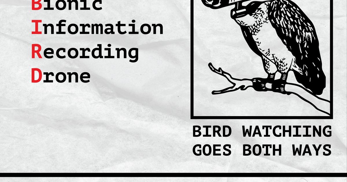 Bird Campaign | Are.na