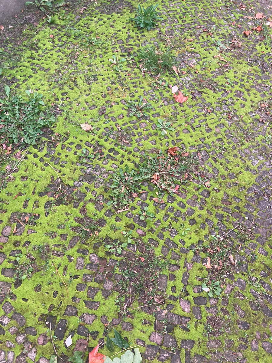 nature shapes, structures [library] — Are.na
