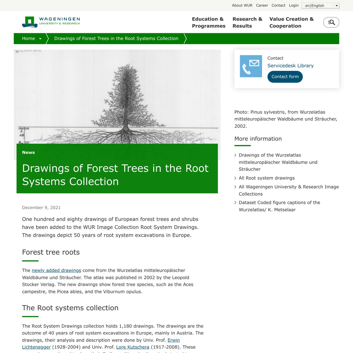 Drawings of Forest Trees in the Root Systems Collection — Are.na