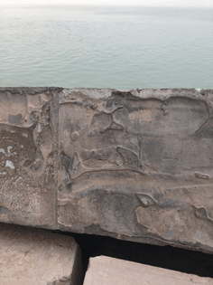 Landmarks (collective archive of non-human actors) — Are.na