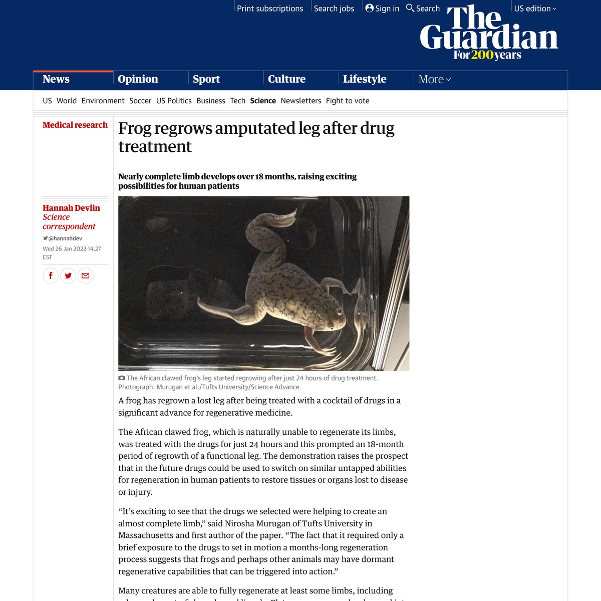 Frog regrows amputated leg after drug treatment — Are.na