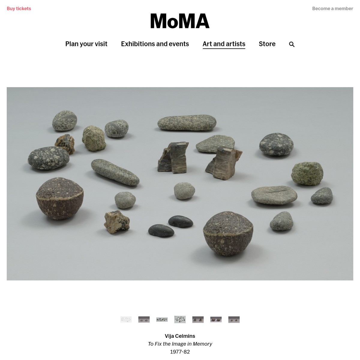 Vija Celmins. To Fix the Image in Memory. 1977-82 | MoMA — Are.na