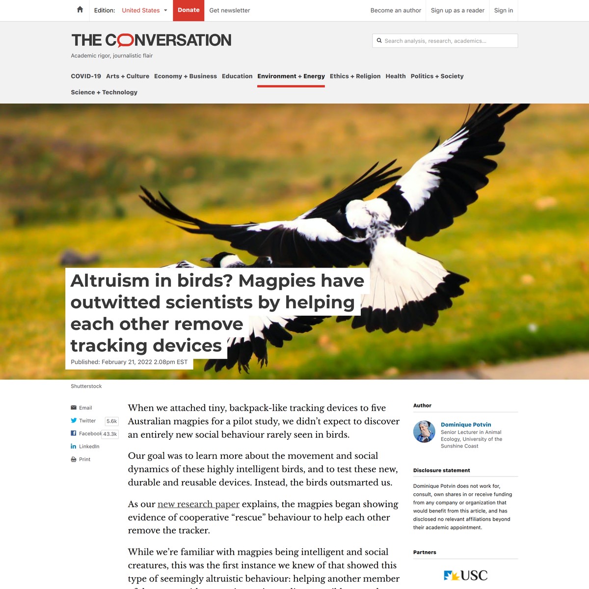 Altruism in birds? Magpies have outwitted scientists by helping each ...
