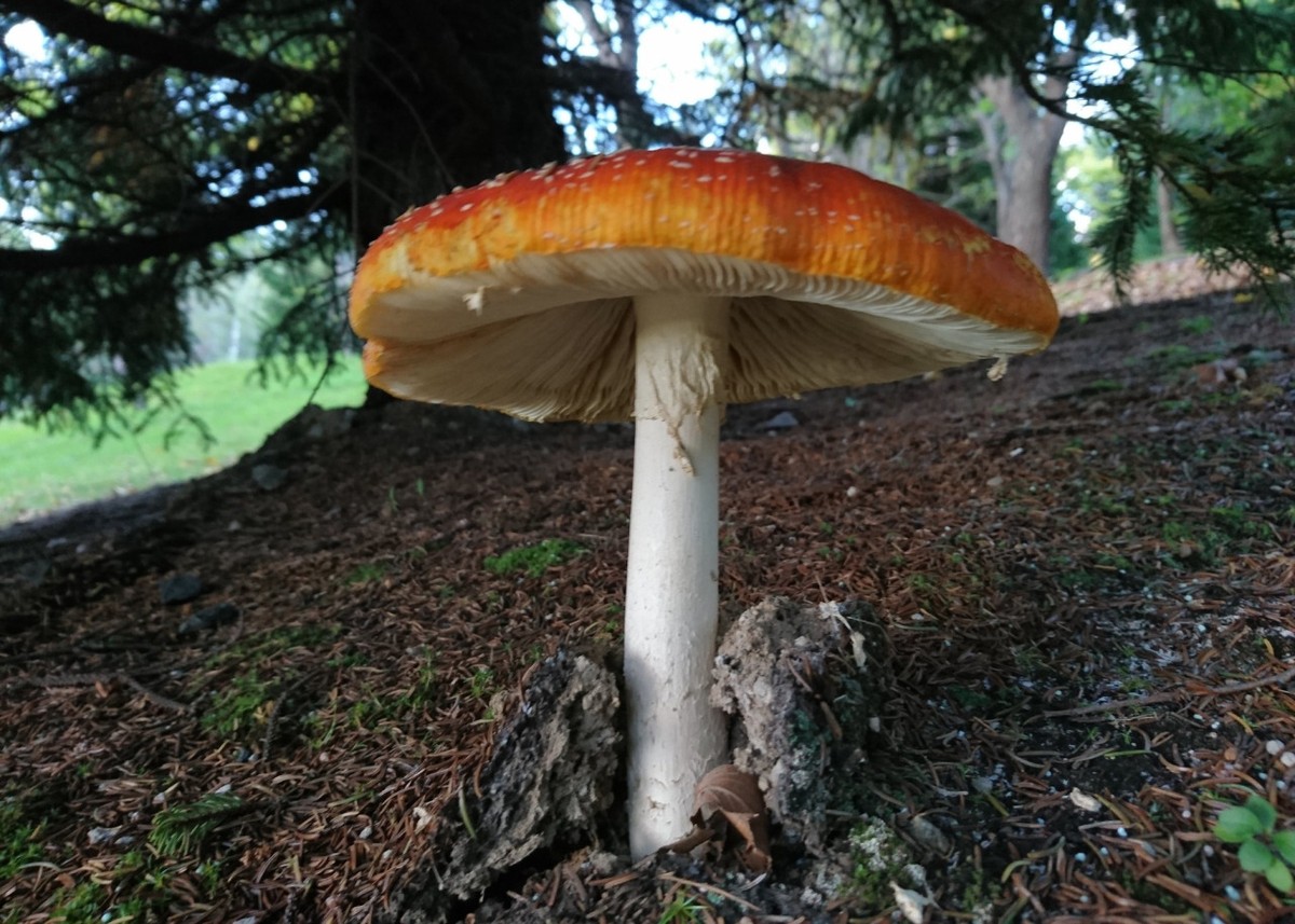 f6636b7e-753a-425e-bf4b-26999ea57de9.png — Are.na