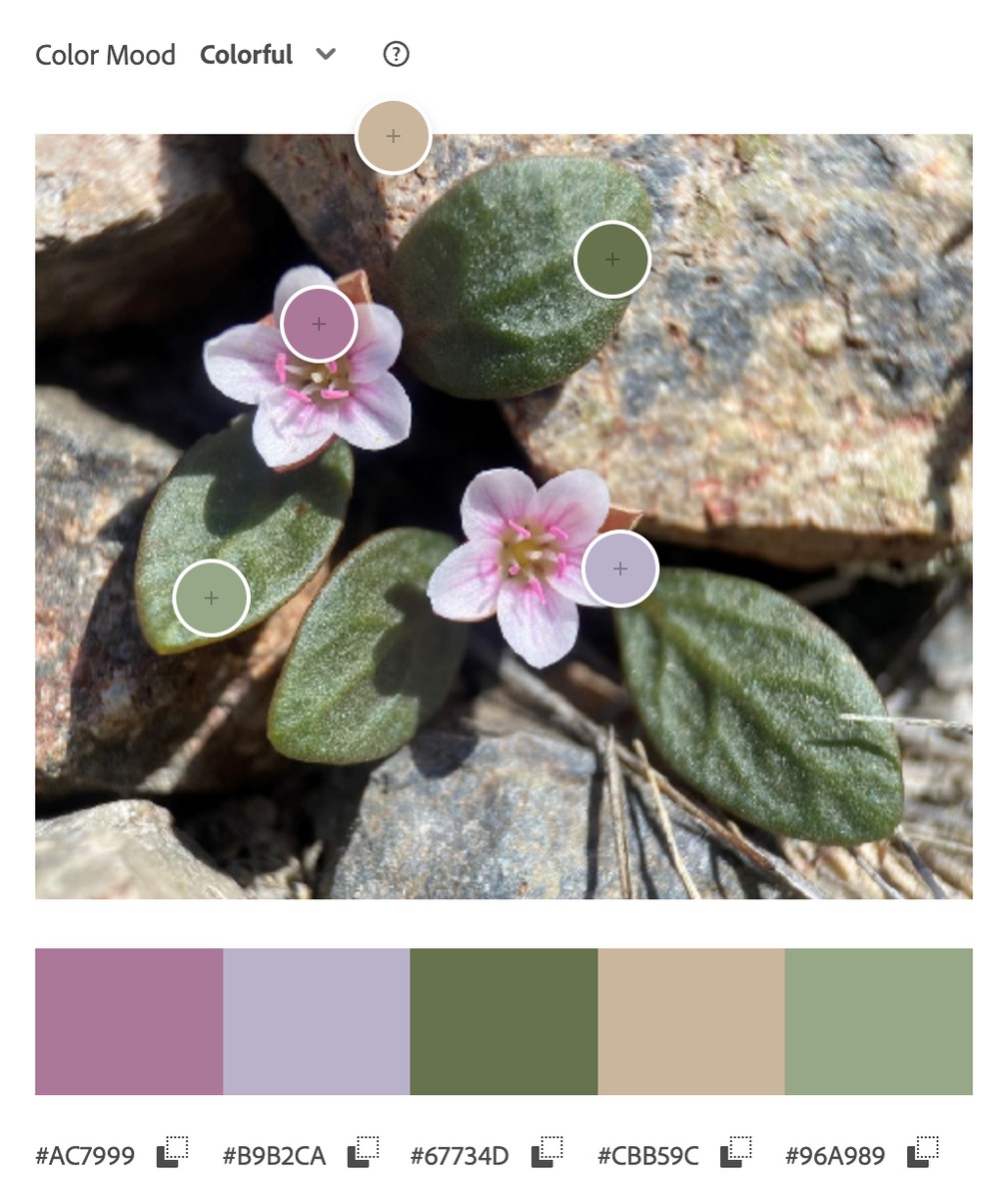 Native Plant Research — Are.na