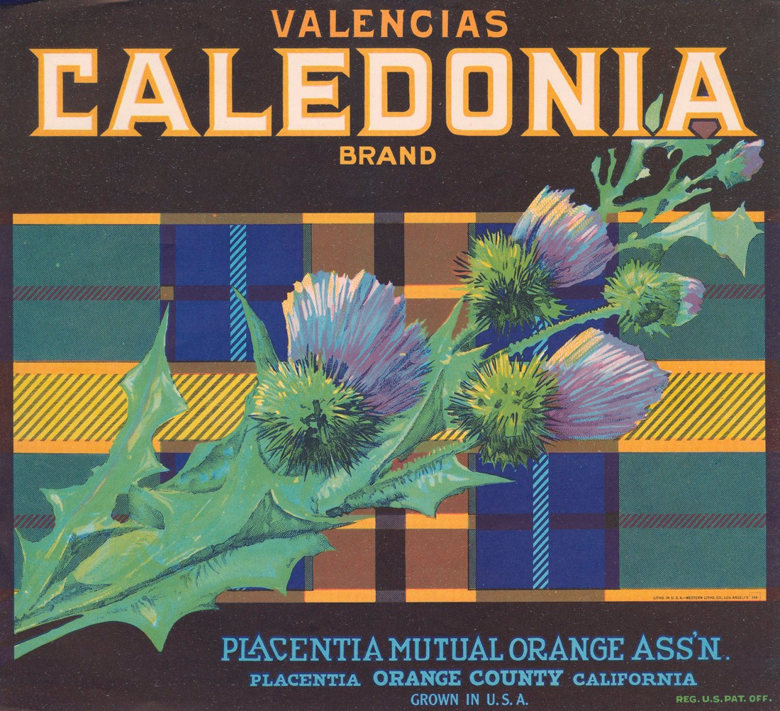 Caledonia.jpg — Are.na