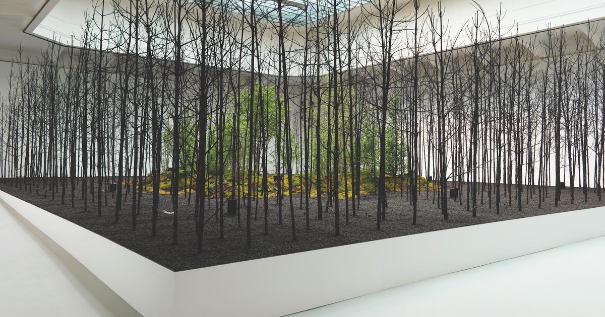 Verstening Tuinen | Are.na