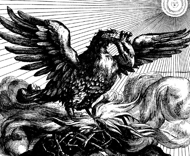 "Phoenix Rising" Magazine | Are.na