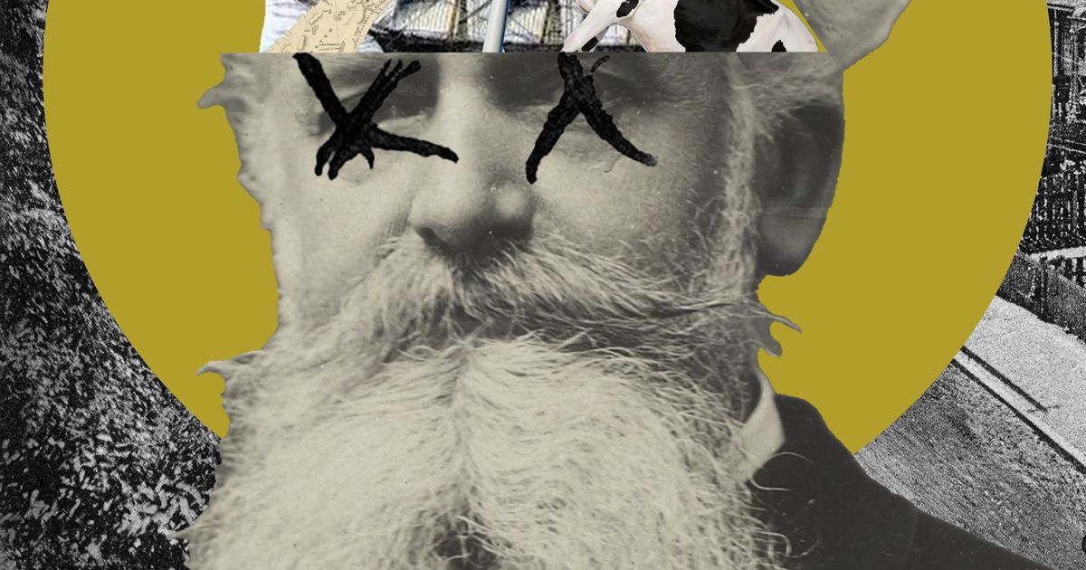 Sean Kearns-Screen | Are.na