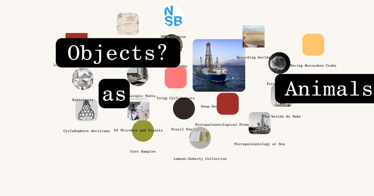 Animals as Objects? | Are.na