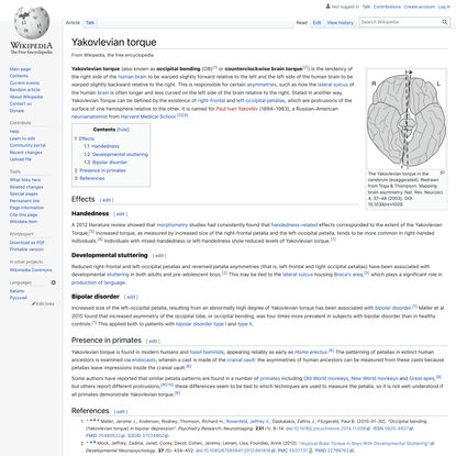 🧠 Brain Symmetry / Asymmetry — Are.na