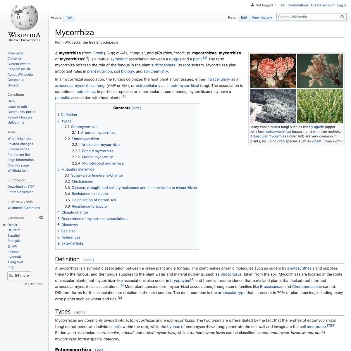 Mycorrhiza - Wikipedia — Are.na