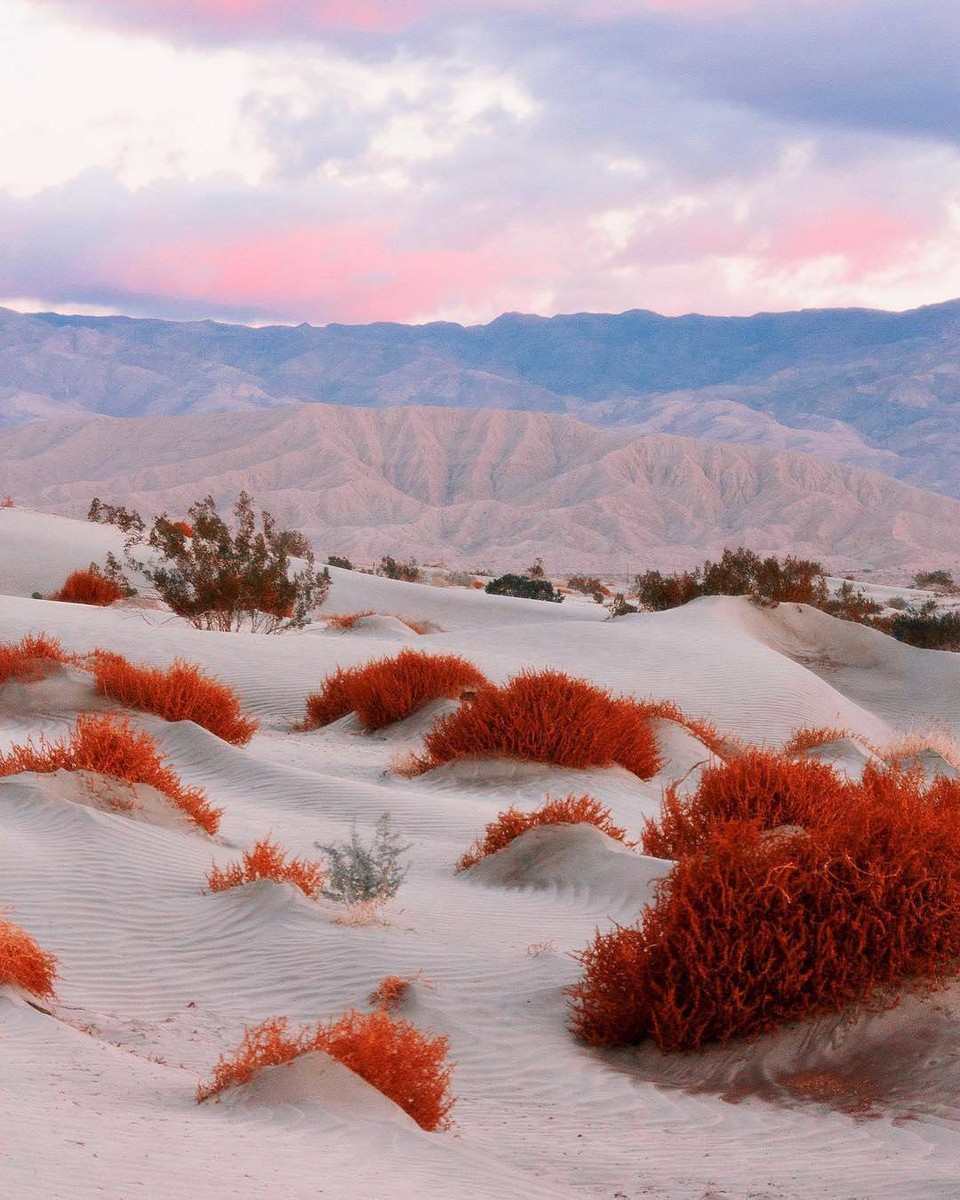 liminal desert — Are.na