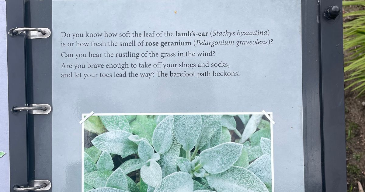 left to rot | Are.na