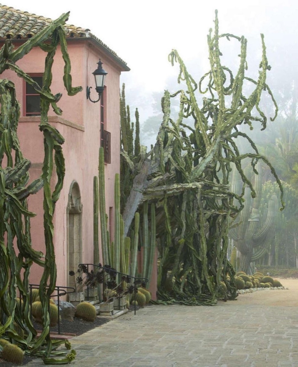 plantcore — Are.na