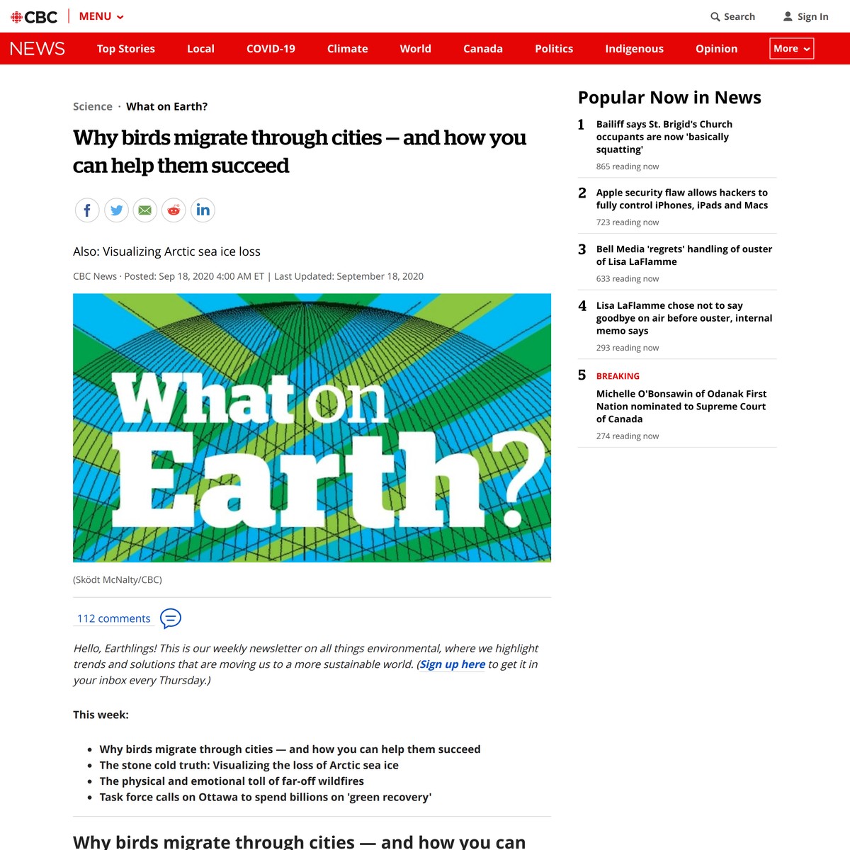 Why birds migrate through cities — and how you can help them succeed ...